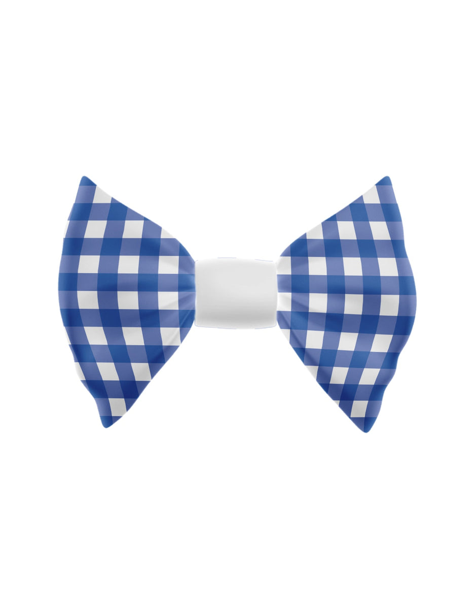 Barnyard Ballet Cowgirl Hair Bow – Hamilton Theatrical