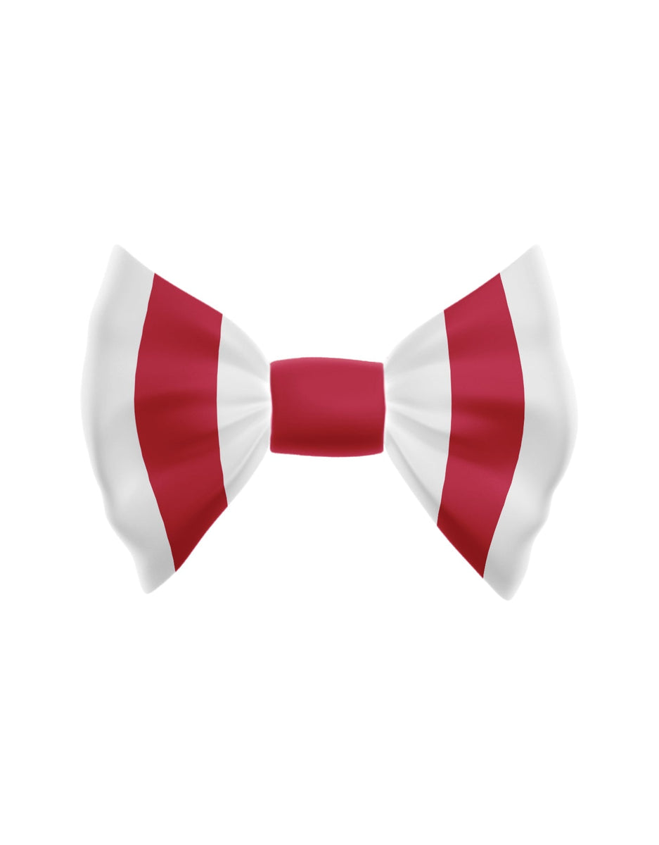 Circus Ringmaster Hair Bow – Hamilton Theatrical